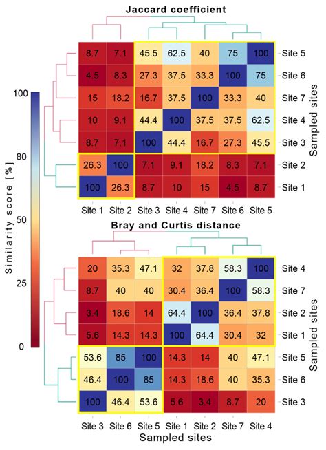 Heatmaps With Dendrograms Side Colored Plots Of Hierarchical Download Scientific Diagram