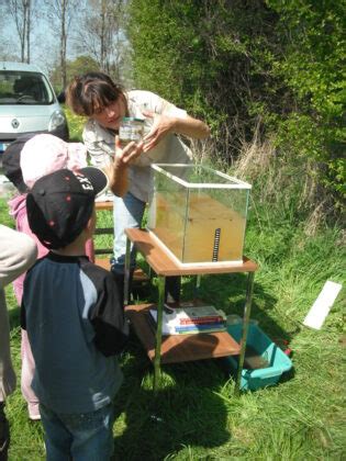Découverte des milieux aquatiques Sorties et séjours scolaires en
