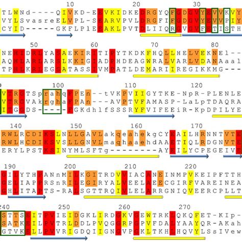 structure based sequence alignment of amicota pdb id 8ahr and download scientific diagram