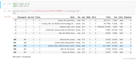 泰坦尼克号数据分析，可视化 英语ab级成绩查询入口 csdn博客