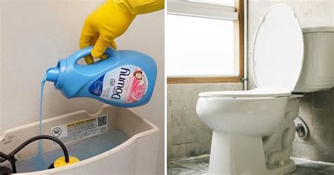 Voici Pourquoi Vous Devriez Verser De Lassouplissant Dans Vos Toilettes