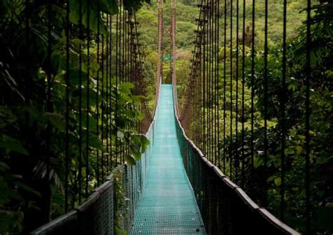 La Fortuna Hanging Bridges And Arenal Volcano Tour W Lunch GetYourGuide