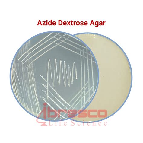 Azide Dextrose Agar آزاید دکستروز آگار ایبرسکو