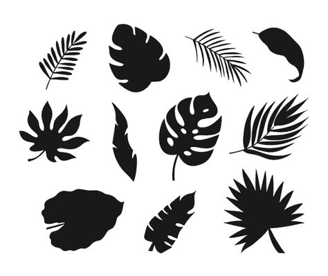 Conjunto De Siluetas De Hojas De Palmera Vector Premium