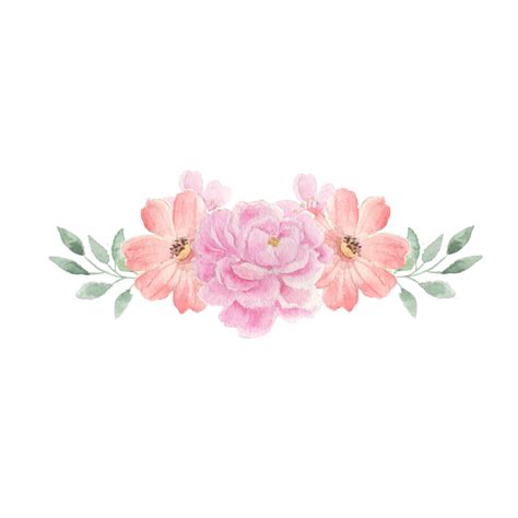 Pink Peony Flower Hd Transparent Pink Peony Watercolor Flower Pink