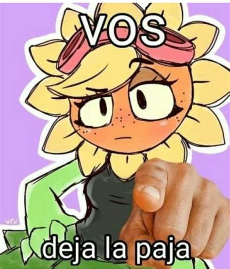 Yo Te Vi Wachin Jalandotela En 2021 Memes Divertidos Memes Nuevos