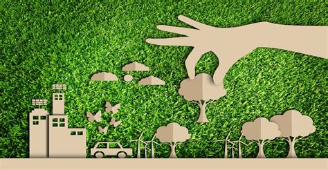5 increíbles proyectos de reforestación GreenDates
