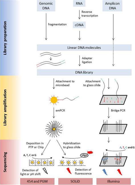 Next Generation Sequencing Platforms