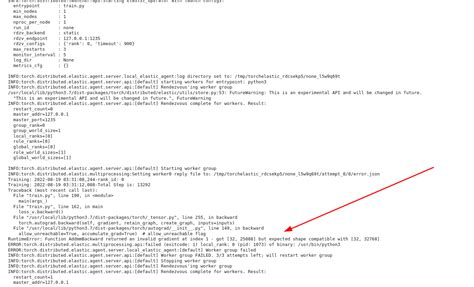 i have problem when training function addmmbackward returned an invalid gradient at index 1