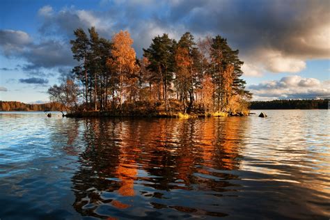 Jezioro Wysepka Drzewa Vuoksa Finlandia