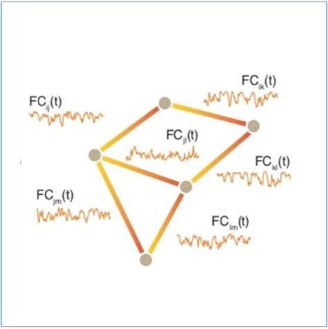 the speed and geometry of resting state dynamic functional connectivity funsy functional