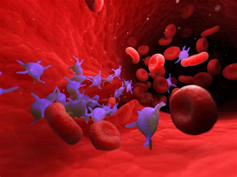 Características del Plasma