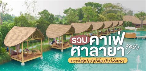 24 คาเฟศาลายาสดปง มมถายรปเพยบ คาเฟฮอปเปอรตองไปใหครบ