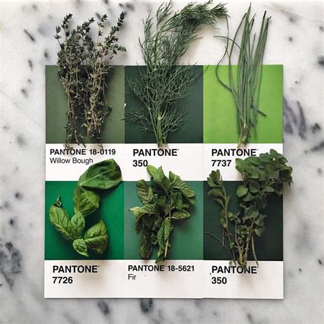 Pantone Palette Pantone Colour Palettes Pantone Color Pantone