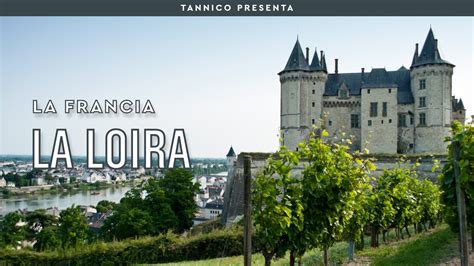 I Vini Della Loira Tannico Flying School YouTube