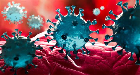 ÚLTIMA HORA De los 649 nuevos casos positivos de coronavirus