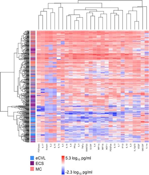 Unsupervised Hierarchical Clustering Was Used To Visualize The