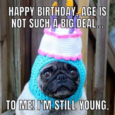 50 Funny Happy Birthday Memes For Friends To Pull Their Legs Birthday