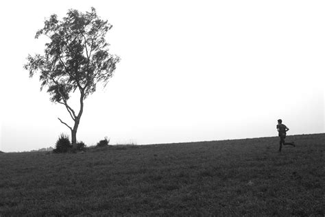 Free Images Man Landscape Tree Nature Grass Horizon Wilderness