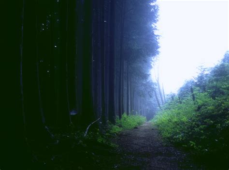 ゆんフリー写真素材集 No 664 霞に煙る山道 日本 秩父
