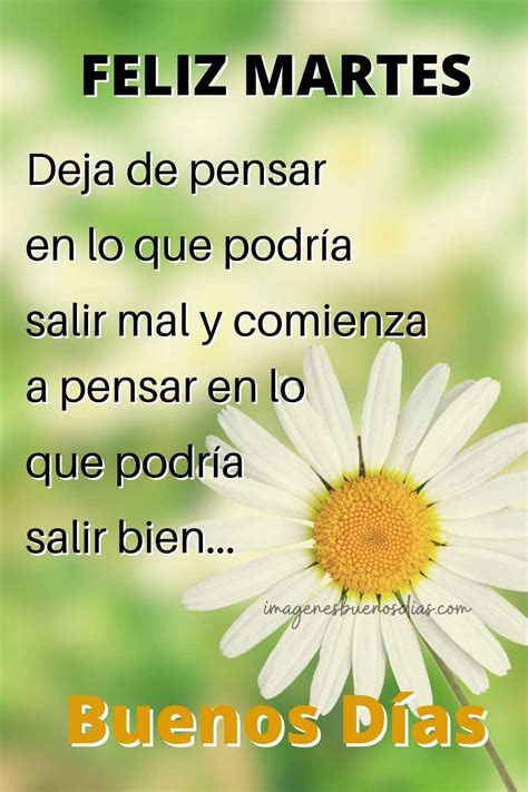 60 Imágenes de Buenos Días Martes Descargar y Compartir