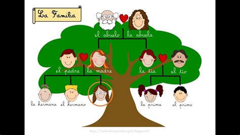 Orientación Educativa clase arbol genealógico YouTube