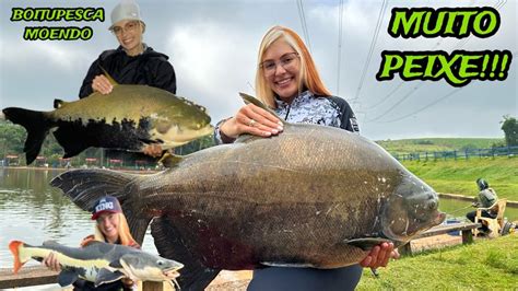 DICA DE ISCA INFALÍVEL E TODA ESTRUTURA PRIMEIRA VEZ NO BOITUPESCA