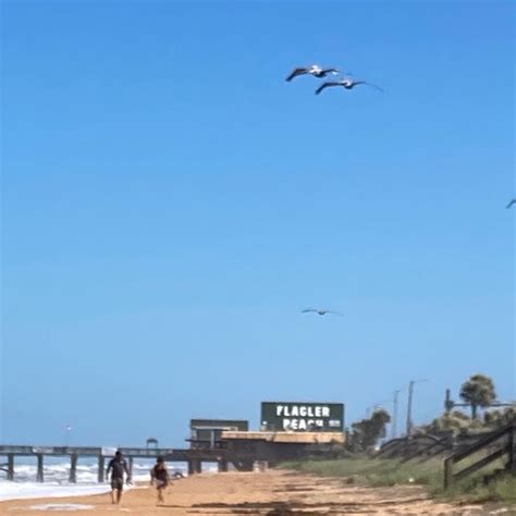 Pin By Pinner On Flagler Beach Fl In Flagler Beach Flagler
