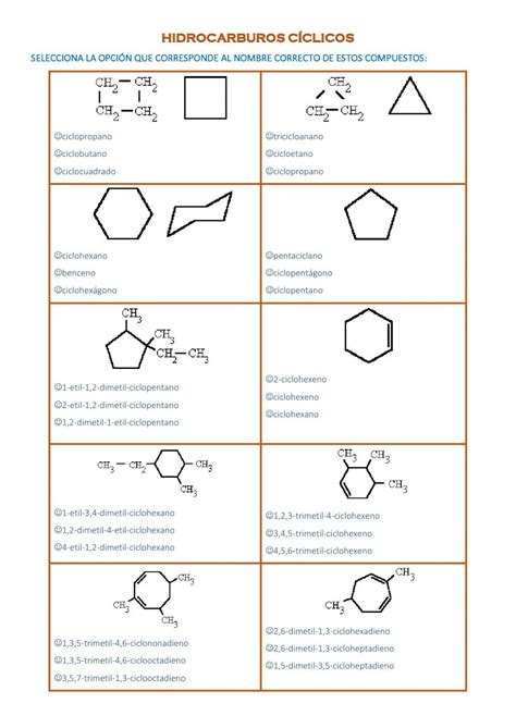 Hidrocarburos cíclicos worksheet Forgot My Password School Subjects