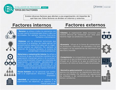 Infografía Factores Internos Y Externos EVALUADOR DE PROCESOS Nivel