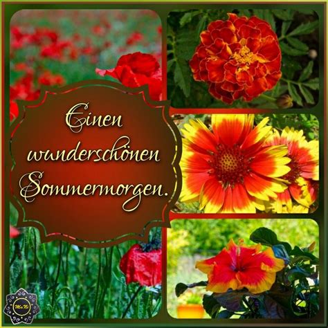 Pin Von Annett Uhlig Auf Guten Morgen Guten Morgen Gruss Guten