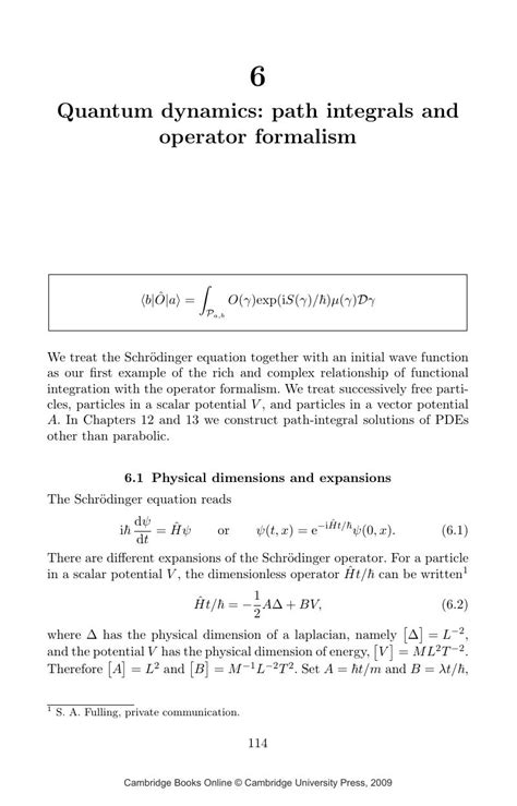 quantum dynamics path integrals and the operator formalism chapter 6 functional integration