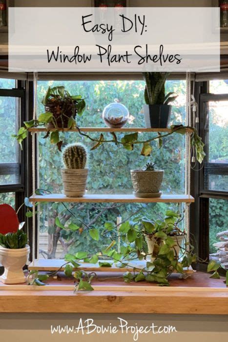 Easy DIY Hanging Window Plant Shelves Window Plants Window Plant