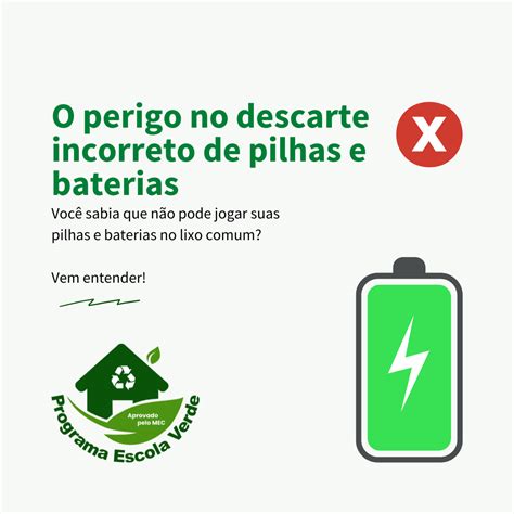 Notícias Página 8 Projeto Escola Verde