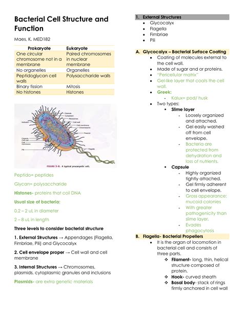 SOLUTION Med 182 Bacterial Cell Structure And Function Study Guide