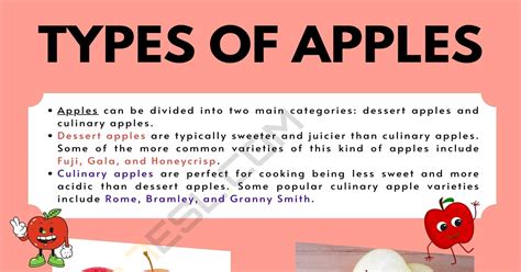 Different Types Of Apples 75 Popular Apple Varieties List 7ESL