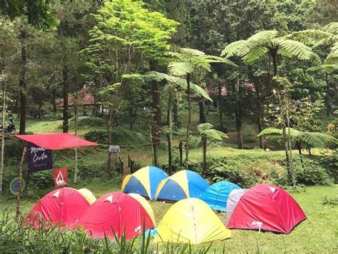 15 Tempat Camping Di Bogor Yang Seru Abis Blog Ruparupa