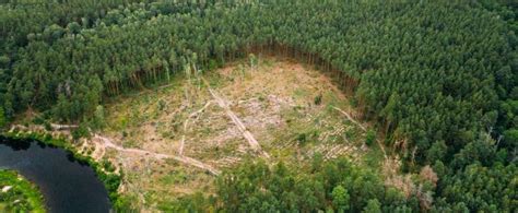 Causas y consecuencias del cambio climático Fundación Aquae