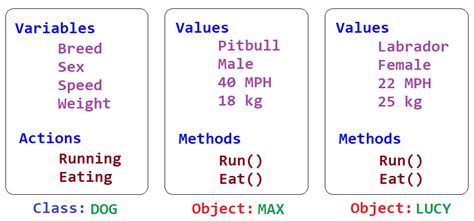 classes and objects in c programming dremendo