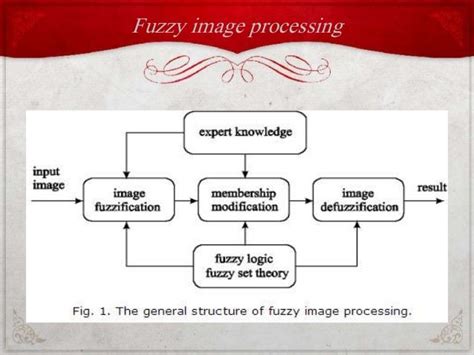 fuzzy image processing