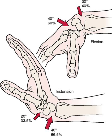 Forearm Wrist And Hand Clinical Gate