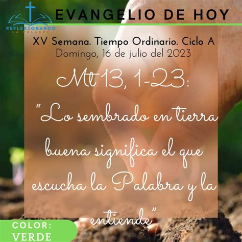 Moniciones Del Domingo De Febrero Image To U