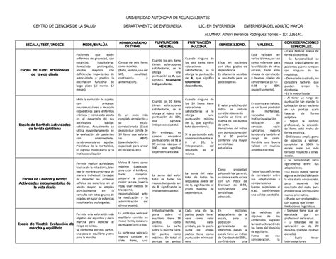 Principales Escalas de Valoración del Adulto Mayor Katz Barthel etc