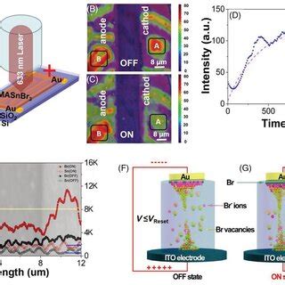 In Situ Raman Monitoring Of Br Distribution A Schematic Diagram Of