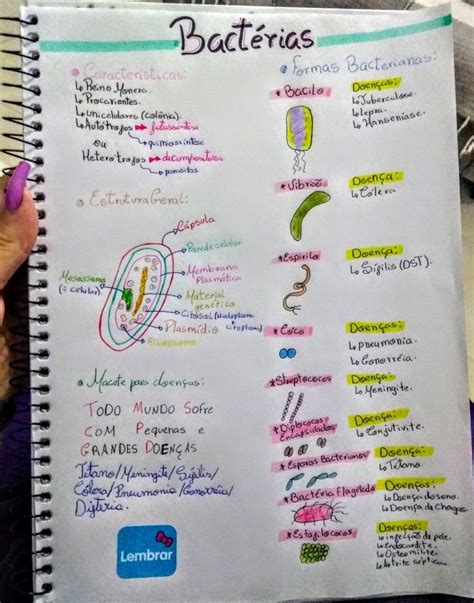 Mapa mental sobre Bactérias Mapas mentais Mapa Parasitologia