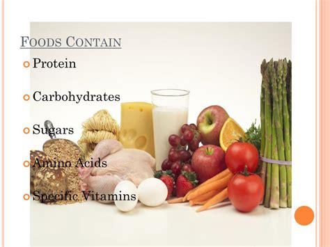 Carbohydrates Sources And Importance