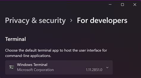 Windows Terminal Preview Release Windows Forums