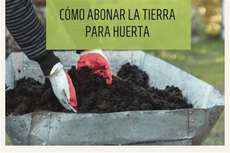 Cómo abonar la tierra para huerta y los mejores métodos