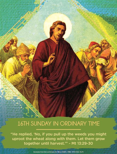 Sixteenth Sunday In Ordinary Time Year A Queen Of Apostles Catholic