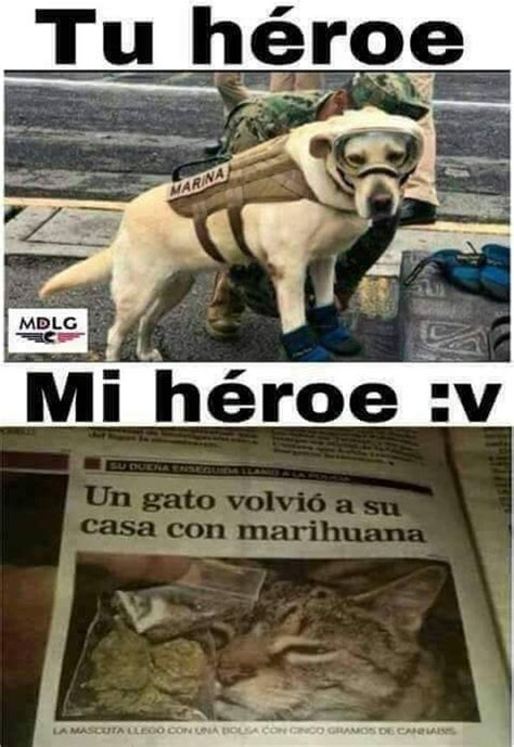 Xd Meme Subido Por Bachitan Memedroid